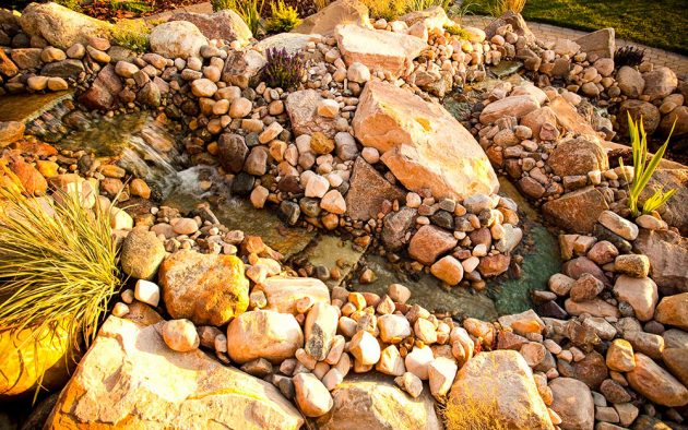Dale Residence - Evolve Landscaping